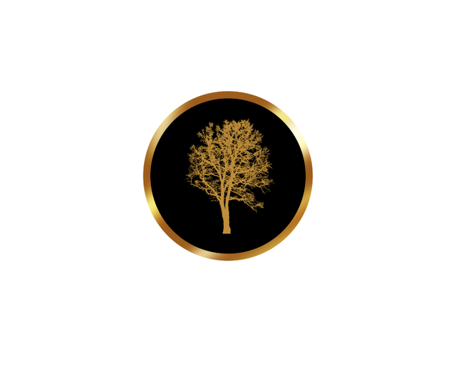 CAT TREES AND SCRATCHERS | 3 Euphoric Cats